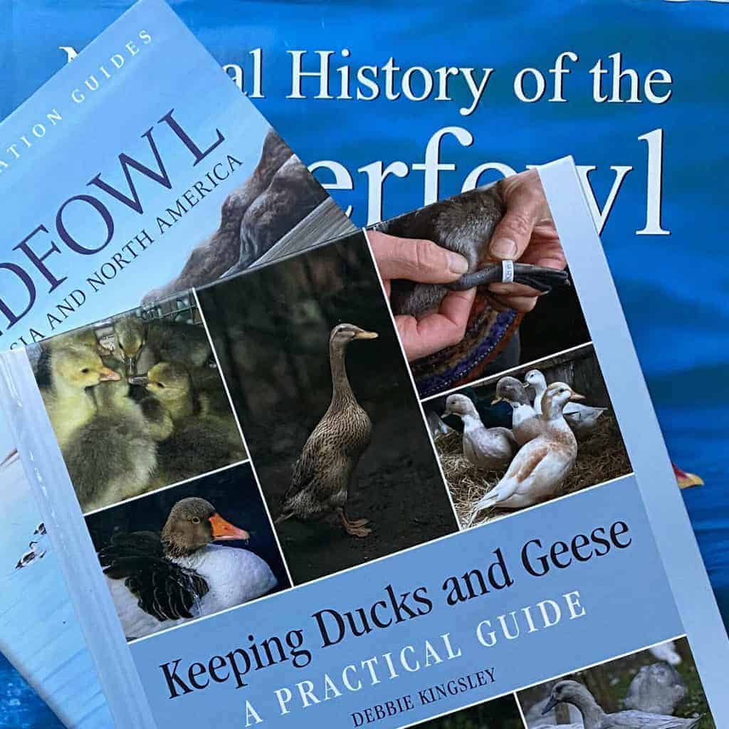 Shop - British Waterfowl Association