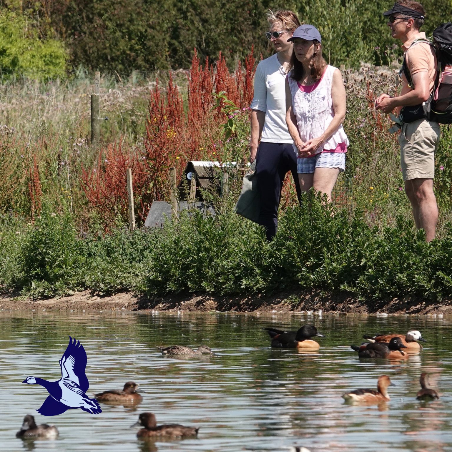 BWA British Waterfowl Association — UK charity no 263156